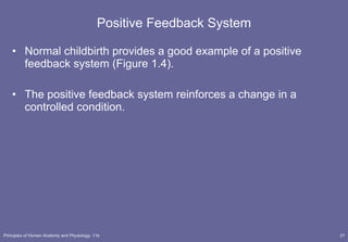 Lect 2 intro to anp | PPT