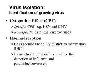 Lect 2 laboratory diagnosis of viral infections | PPT
