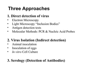 Lect 2 laboratory diagnosis of viral infections | PPT | Infectious ...