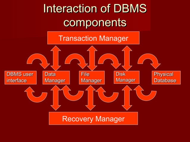Lect 21 components_of_database_management_system | PPT