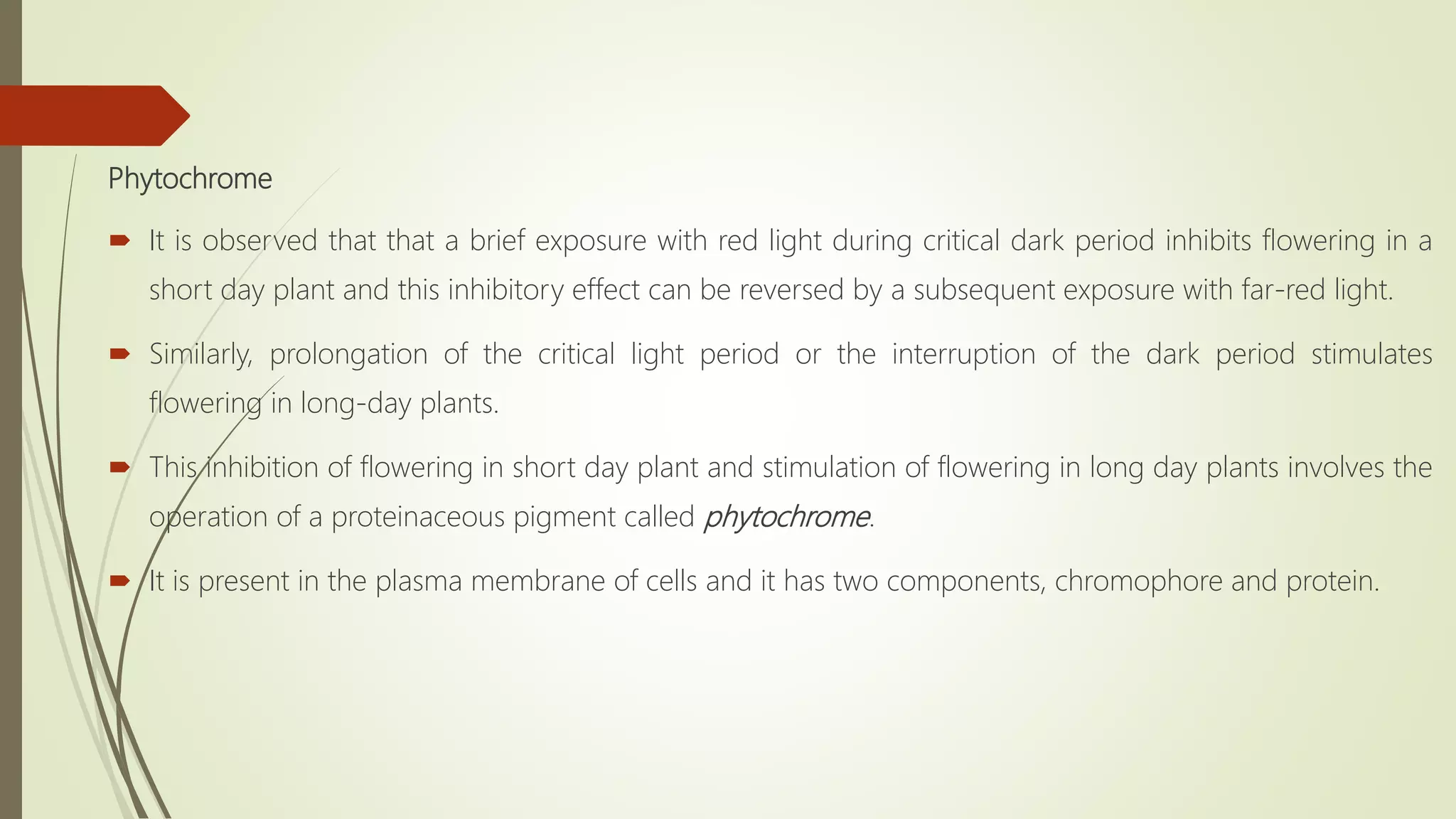 Photoperiodism | PPTX