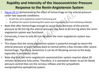 Lect 26 9th oct angiotensin system | PPTX