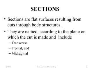 Lect_2 Anatomical Terminology basic application | PPT