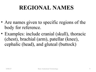 Lect_2 Anatomical Terminology basic application | PPT