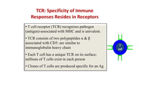 Lect 2 cells of immune system rmc 2016 | PPT
