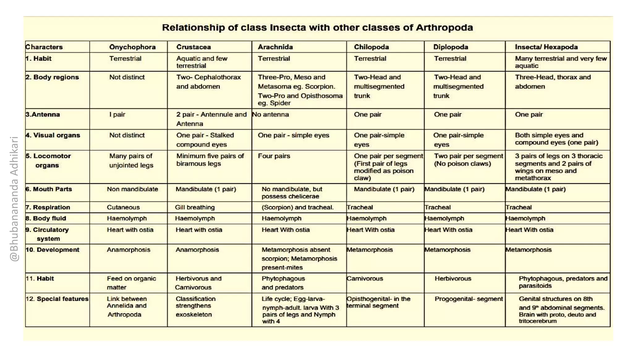 Classes of Arthropoda ppt | PPTX