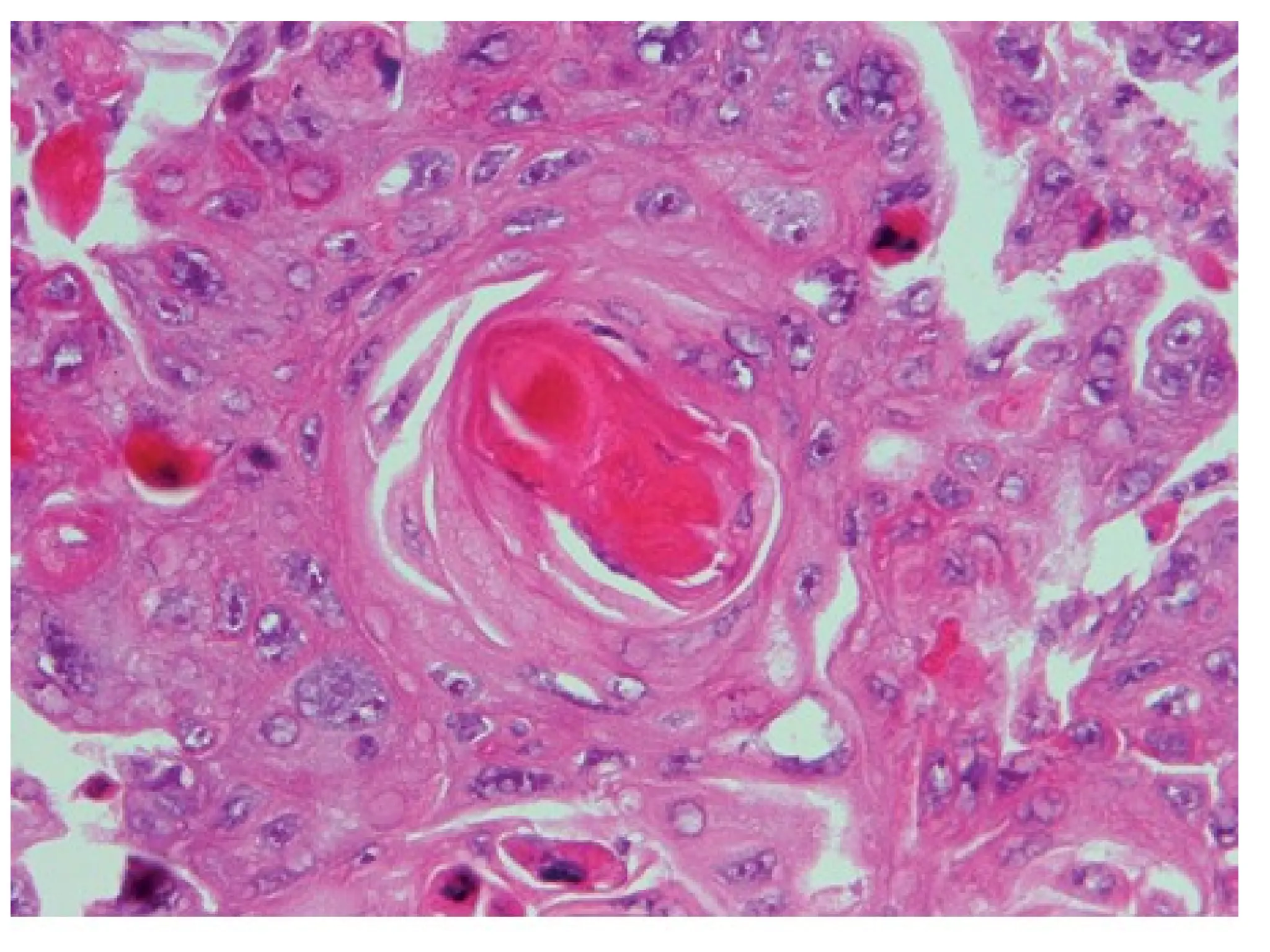 Lect 2 cont intorduction histo.pptx for medical students | PPT