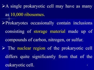 Prokaryotic cell (structure and function) | PDF