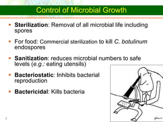 Lect 2 Microbial Growth.ppt