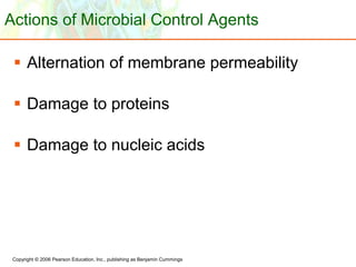 Lect 2 Microbial Growth.ppt