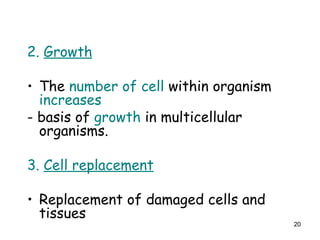 Lect 2 mitosis | PPT