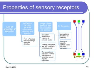 LECT 2 NEUROPHYSIOLOGY details of the brain | PPT