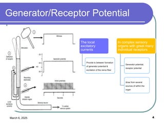 LECT 2 NEUROPHYSIOLOGY details of the brain | PPT