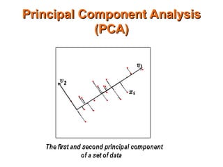 (PCA) principal component analysis Analysis | PPT
