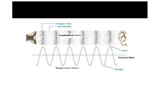 Sound Waves. pikachunetwork.pptx