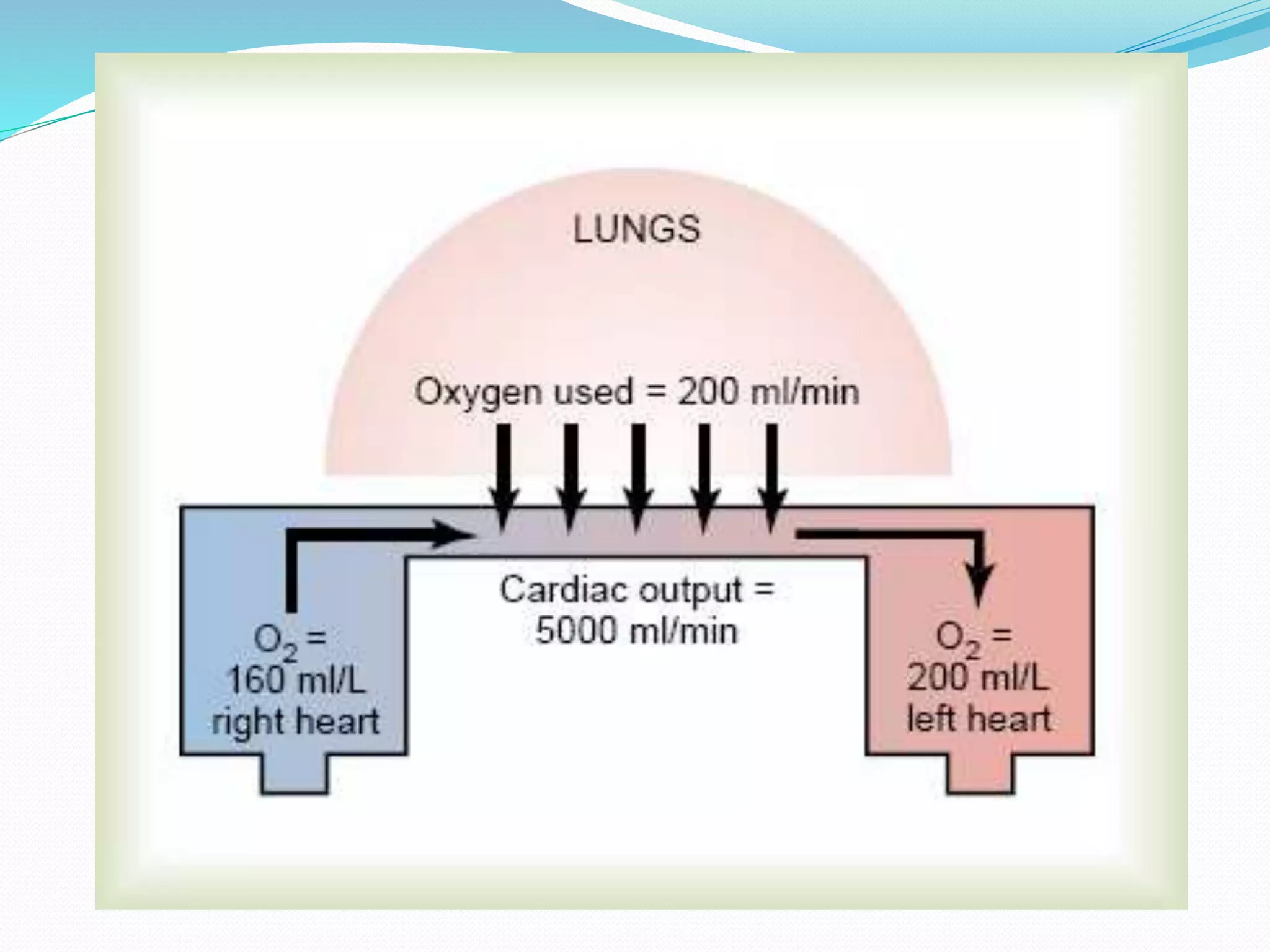 cardiac output, | PPTX
