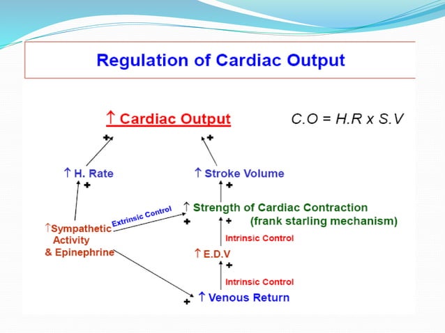 cardiac output, | PPTX