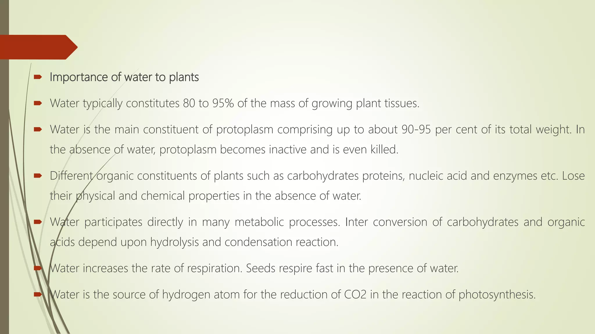 Plant Water Relation | PPTX