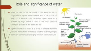 Plant Water Relation | PPTX