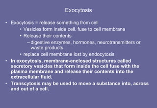 Lect 3 cell level | PPT