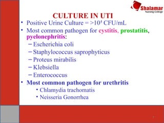 Lect 34. UTI urinary track infection .ppt