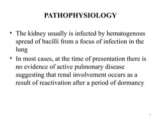 Lect 35 Renal Abscess & Tuburclosis.pptx