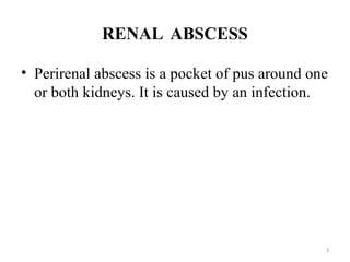 Lect 35 Renal Abscess & Tuburclosis.pptx