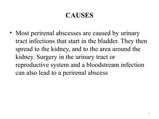 Lect 35 Renal Abscess & Tuburclosis.pptx