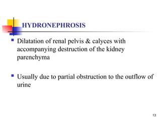 lec urethral strictures & hydronephrosis | PPT