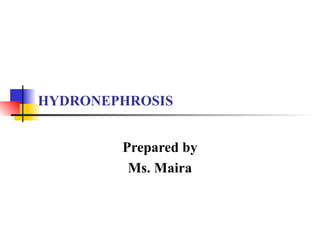 Lect 37 urethral-strictures and hydronephrosis.ppt