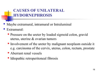 Lect 37 urethral-strictures and hydronephrosis.ppt