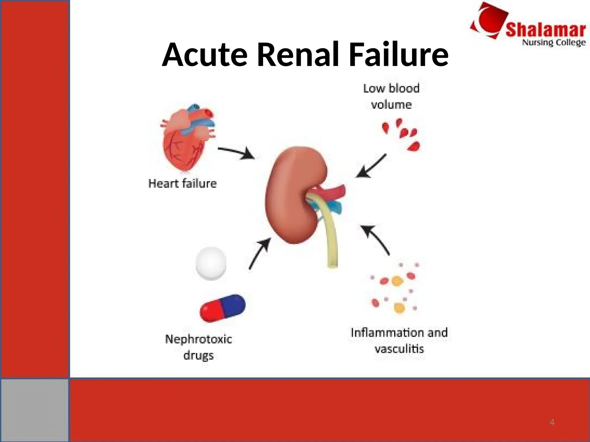 Lect 39. Acute & Chronic Renal Failure.pptx