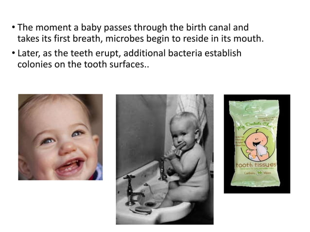 LECT 3 DENTAL PLAQUE DEFINITION AND AETIOLOGY .pptx