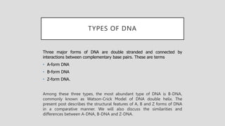 Lect_3_Forms_of_DNA.pptx