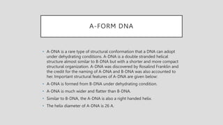 Lect_3_Forms_of_DNA.pptx