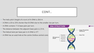 Lect_3_Forms_of_DNA.pptx