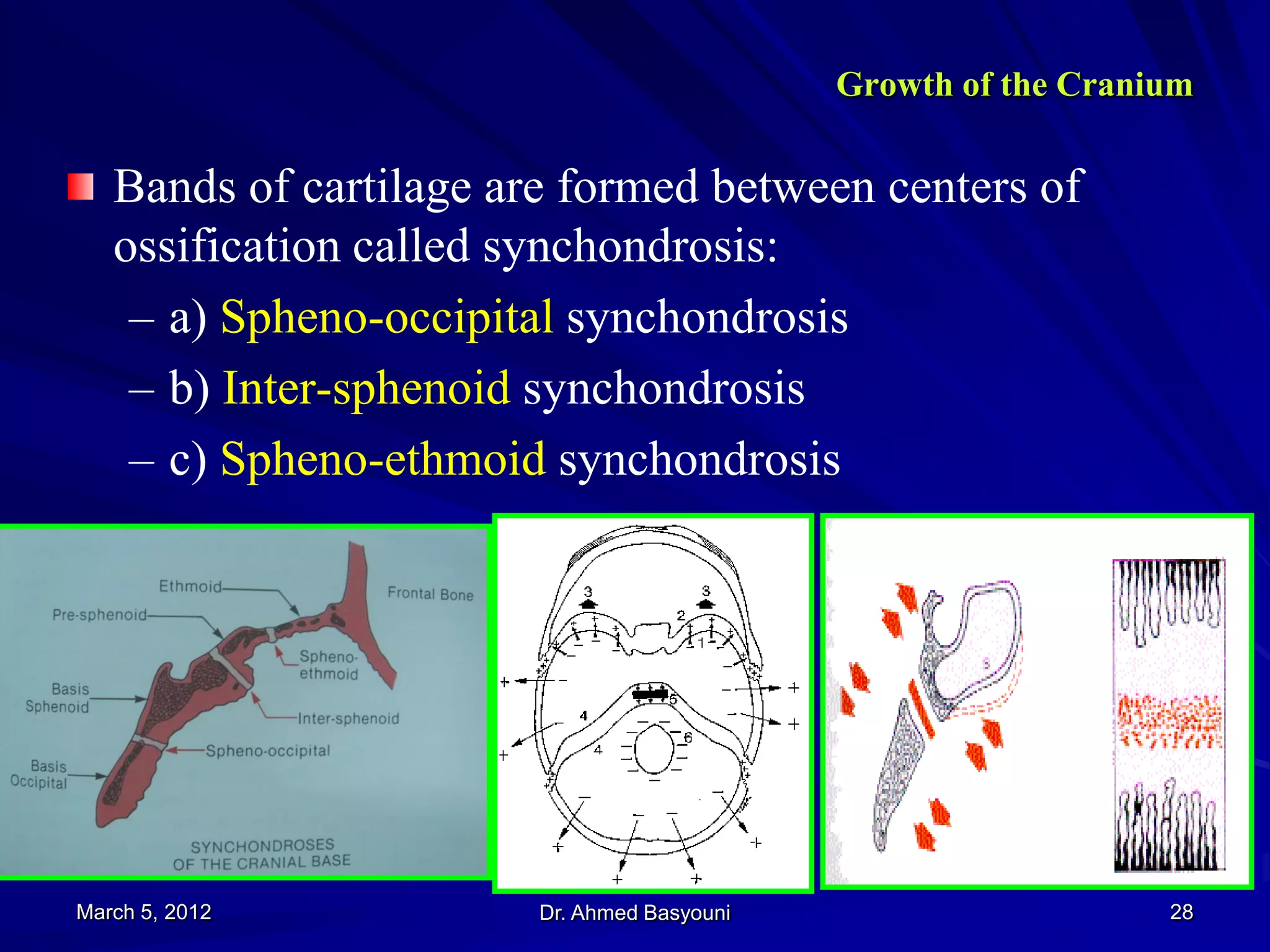 Growth and Development of Craniofacial Complex I | PDF