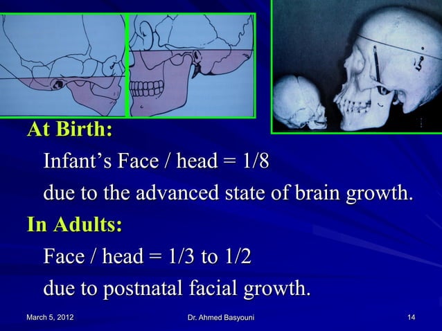 Growth and Development of Craniofacial Complex I | PDF | Bone and Joint ...
