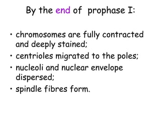 Lect 3 meiosis | PPT