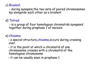 Lect 3 meiosis | PPT
