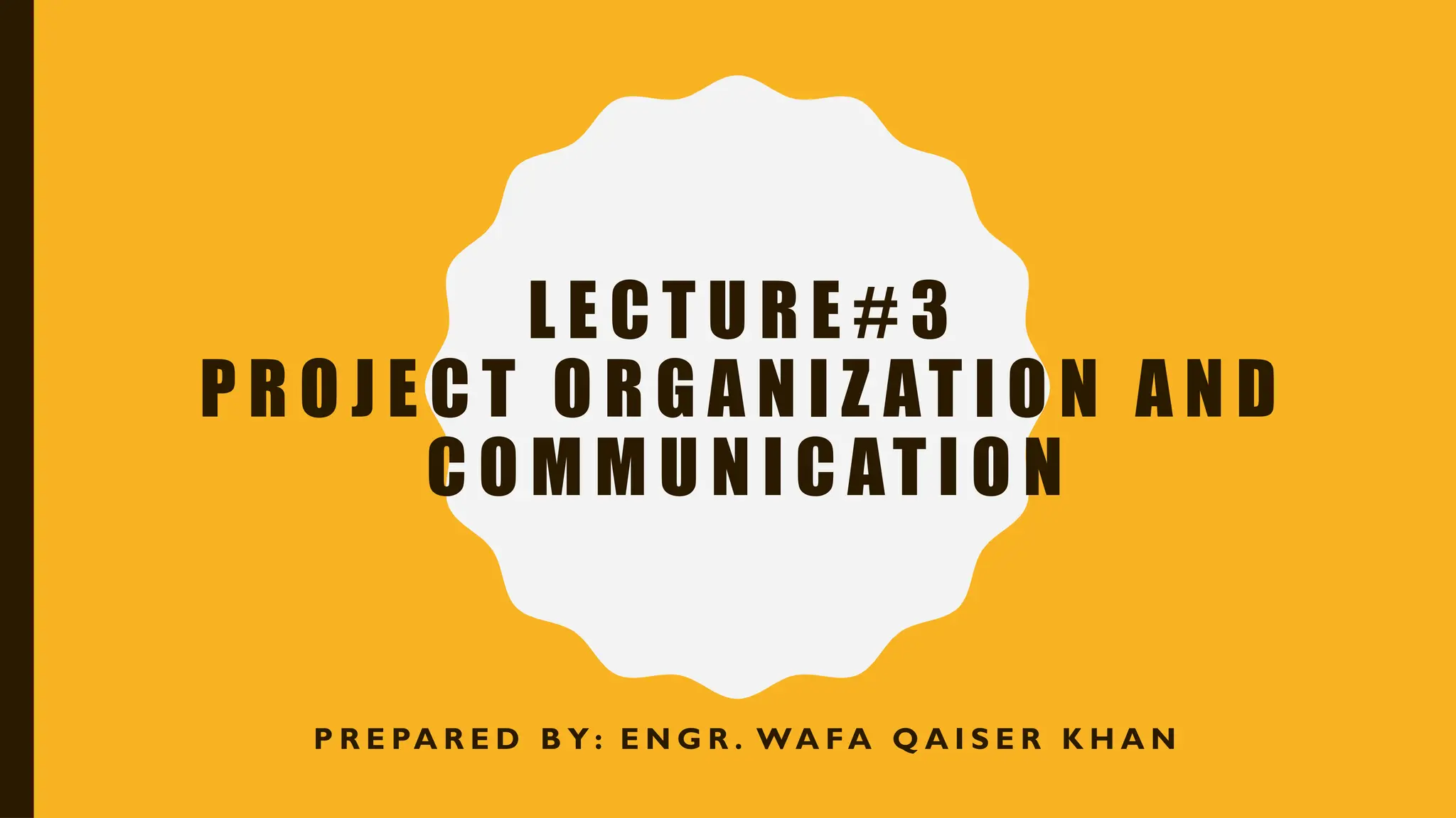 Lect3_ProjectOrganizationandCommunication.pptx