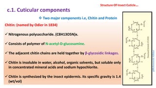 Insect Cuticle and Moulting | PPTX | Chemistry | Science