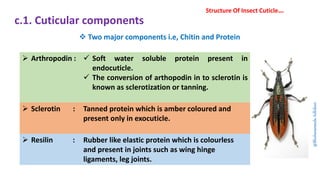Insect Cuticle and Moulting | PPTX | Chemistry | Science