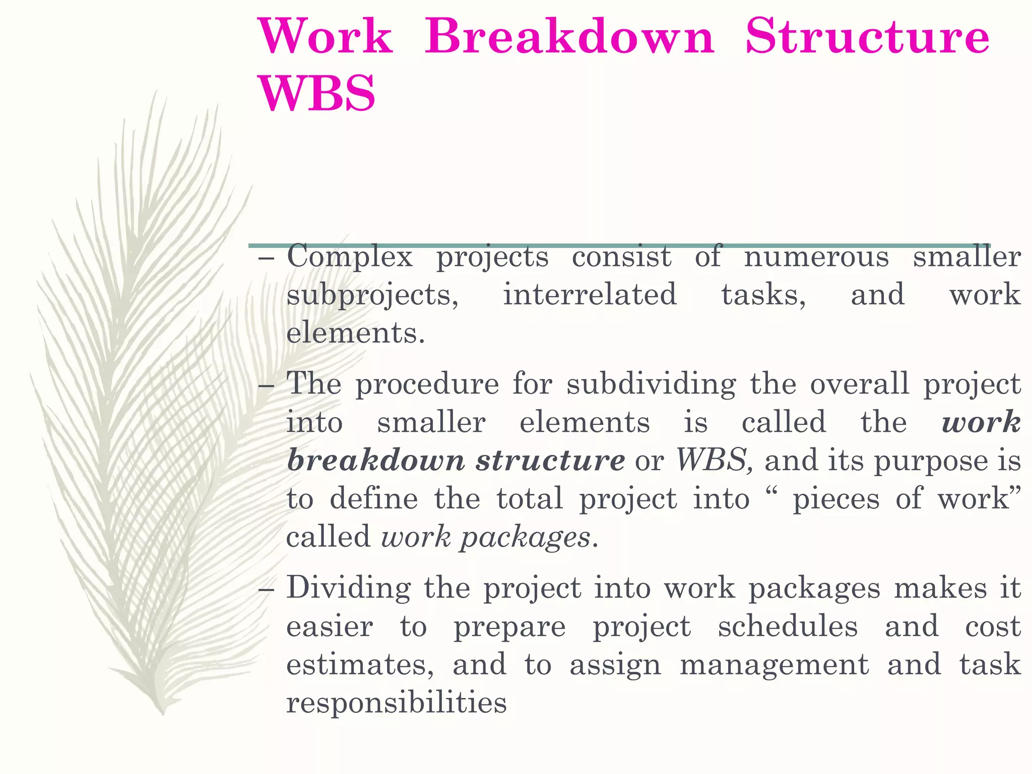 Lect 3 wbs&obs | PDF