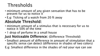 Fields of psychology.Sensation,Perception pptx | PPT