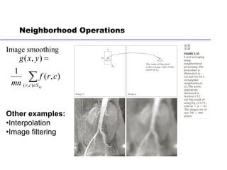 Digital Image Procesing | PDF