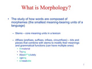 lect4-morphology.ppt