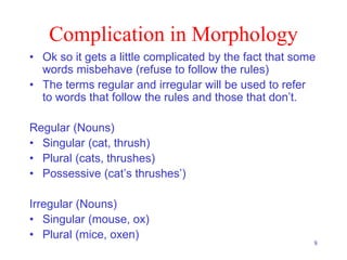 lect4-morphology.ppt
