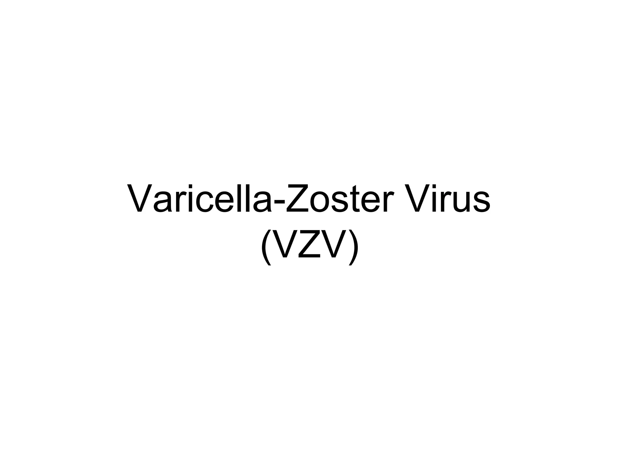 Lect 4 - Varicella-zoster virus (vzv), cmv, ebv | PPT