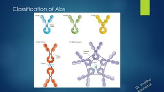 Antibodies: Structure, types, classification and function | PPTX